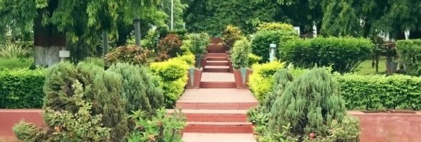 Central Institute of Psychiatry, Ranchi - Psypathy